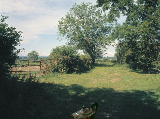 Christopher Muller | Landschaften